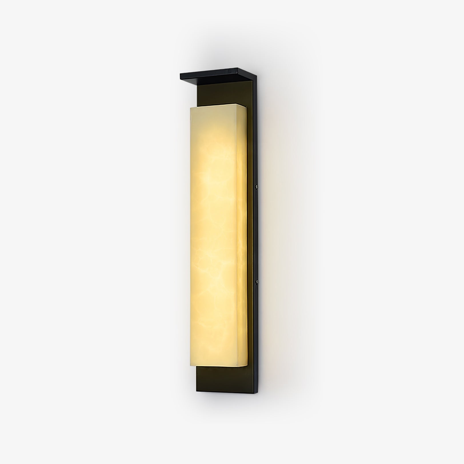 Delaney Outdoor Wall Light | DWHOME