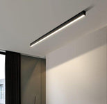 Reetahnna Slim Rectangular Linear Ceiling Lamp | DWHOME