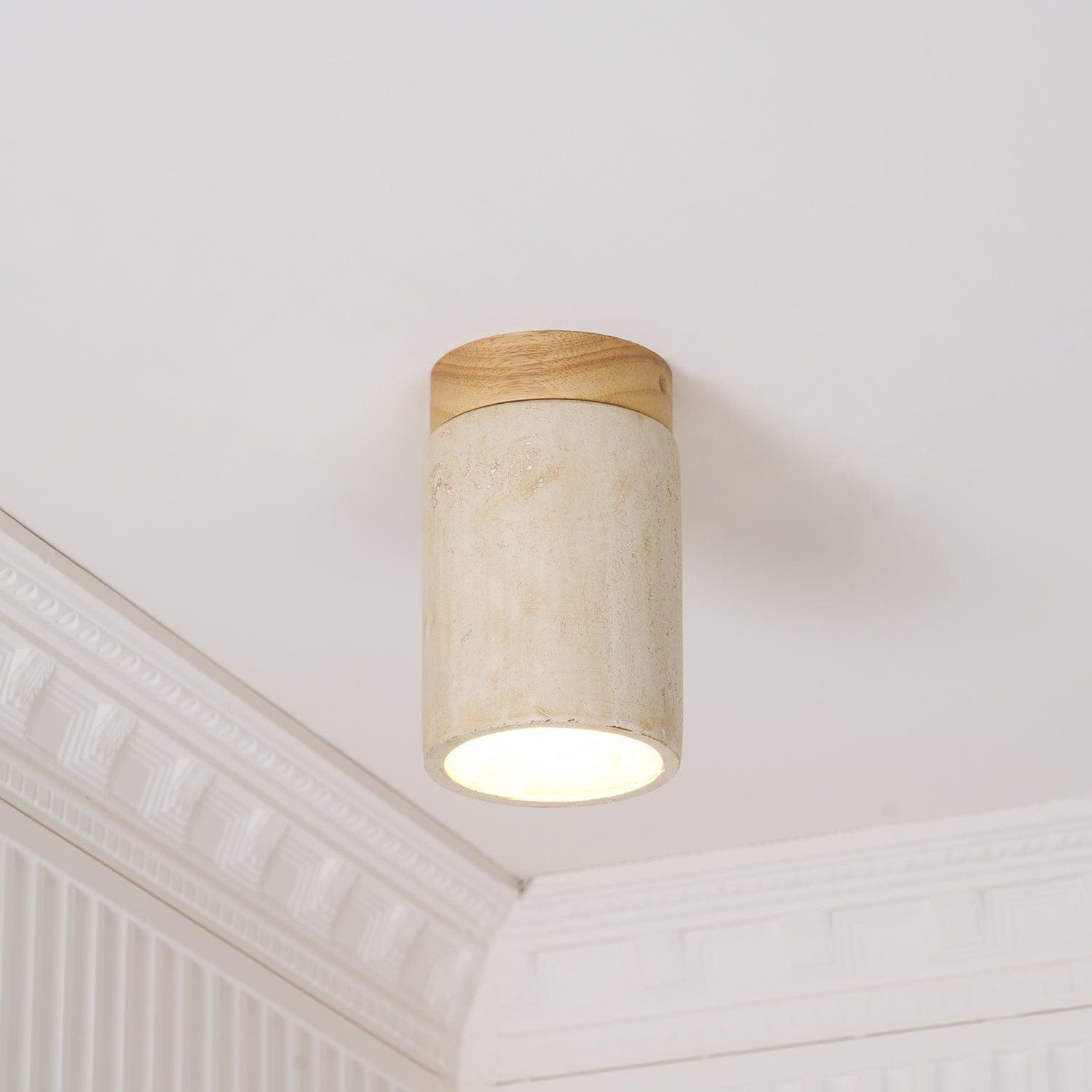 Terra Cylinder Ceiling Light | DWHOME
