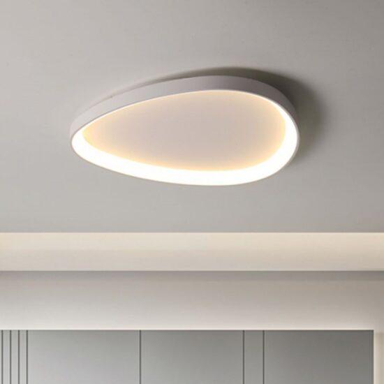 Wisdomegg Irregular Shape Ceiling Lamp | DWHOME